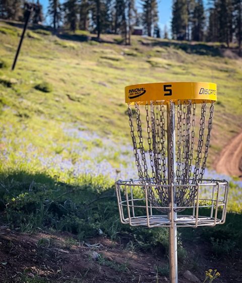 Disc Golf - Dodge Ridge Mountain Resort