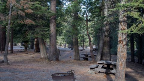 Clark Fork Complex Campgrounds - Dodge Ridge Mountain Resort