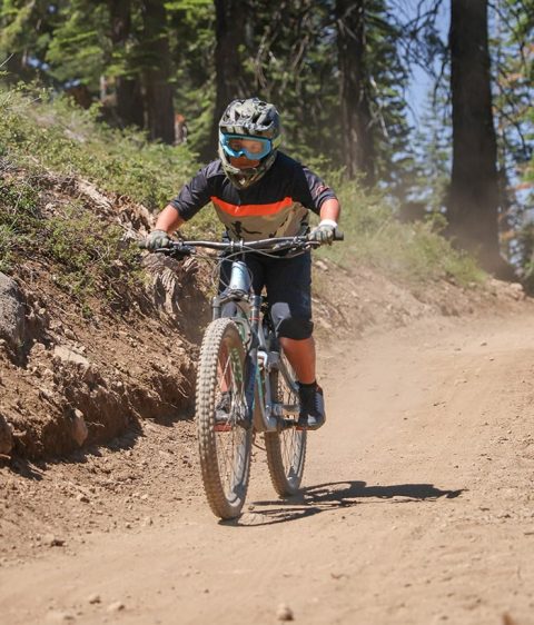 Mountain Biking - Dodge Ridge Mountain Resort