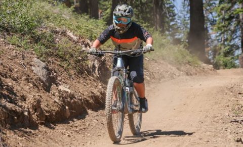 Home - Dodge Ridge Mountain Resort