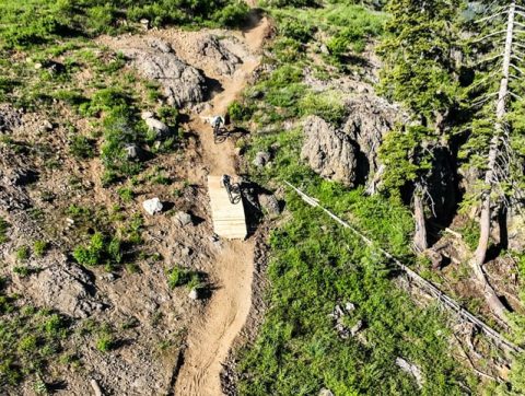 Mountain Biking - Dodge Ridge Mountain Resort