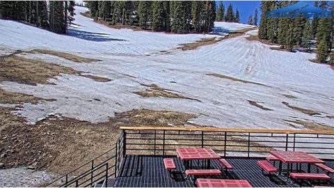 Mountain Web Cams - Dodge Ridge Mountain Resort